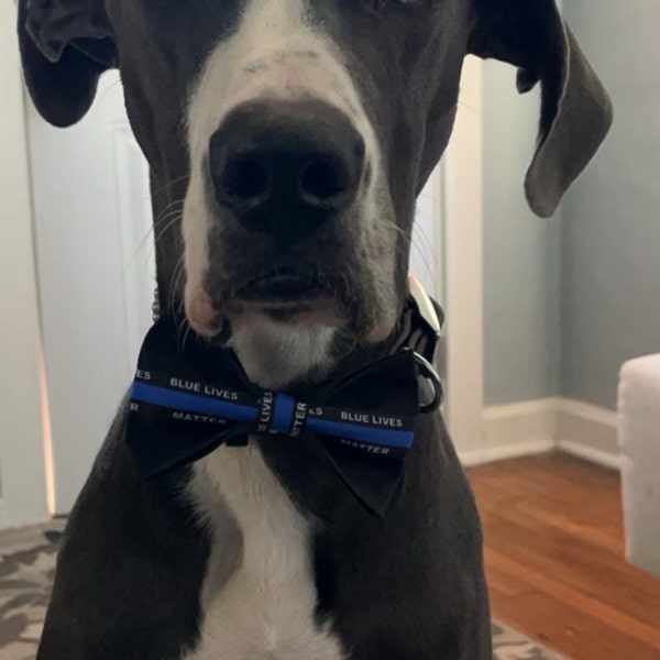 Thin Blue Line Dog Collar, Police Dog Collar, Police K9, Police Lives ...