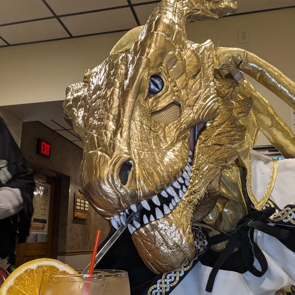 Barn Owl Skull Mask .STL Files for 3D Printing - Etsy