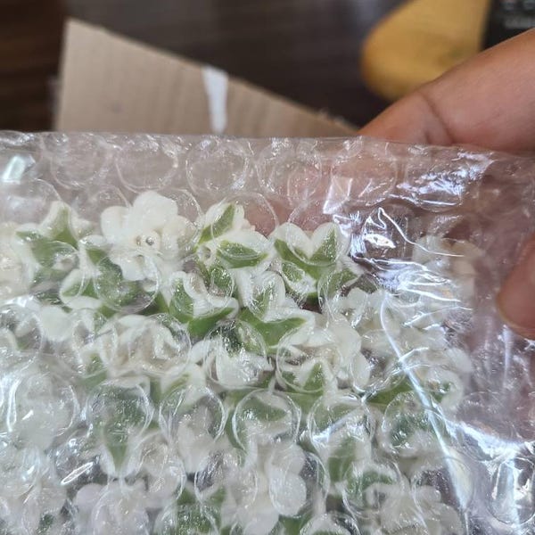 Yellow Rose Bud and White Crown Flower Clay Lei, Hawaiian Clay Lei ...