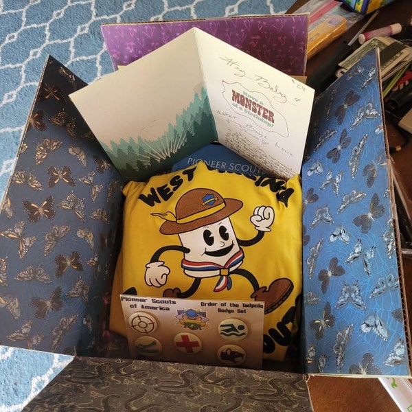 Custom Fallout Vault Girl Stat Screen Acrylic LED Light, Fallout Light ...