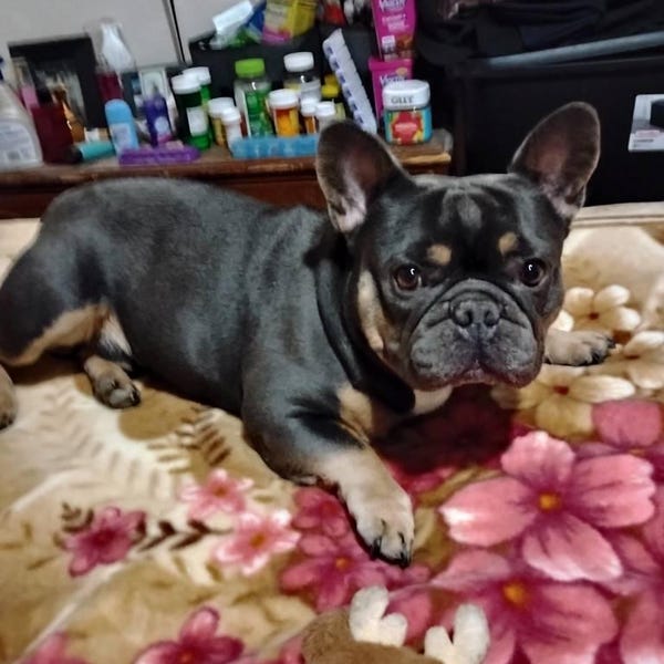 Welding Dad, Daddy's Future Welding Buddy, Welding Baby Outfit, Welding ...