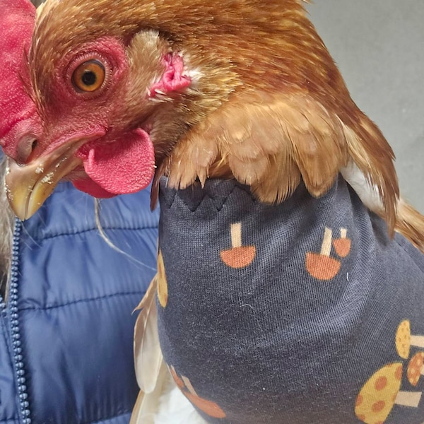 Chicken Crop Bra, Pendulous Crop Supporter - Etsy