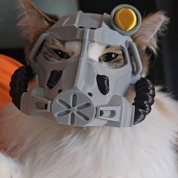 Baseball Cat Cap [physical Product] - Etsy