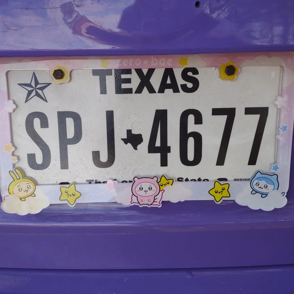 B-GRADE Cinna Dreamy Bunny Cute License Plate Frame B-GRADE - Etsy