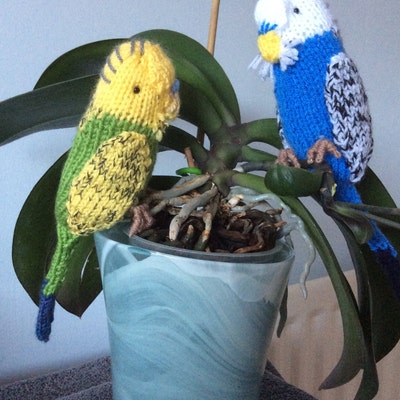 Parakeet Knitting Pattern Green and Blue Budgie Knitting Pattern Sparky ...
