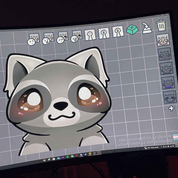 Raccoon Twitch/discord Emotes Combo Pack 5 & 6 set of 14 - Etsy