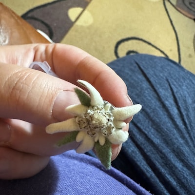 REAL Dried Flower Edelweiss Blossom Gift Ornament 3heart Shaped ...