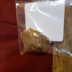 100% AUTHENTIC Lucky Hand Root Sahlep Root Orchis Mascula RARE Good ...