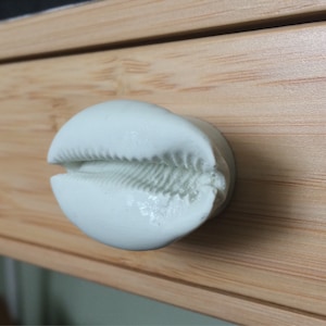 Shell Knobs Beach Knobs and Pulls Beach House White Knobs - Etsy