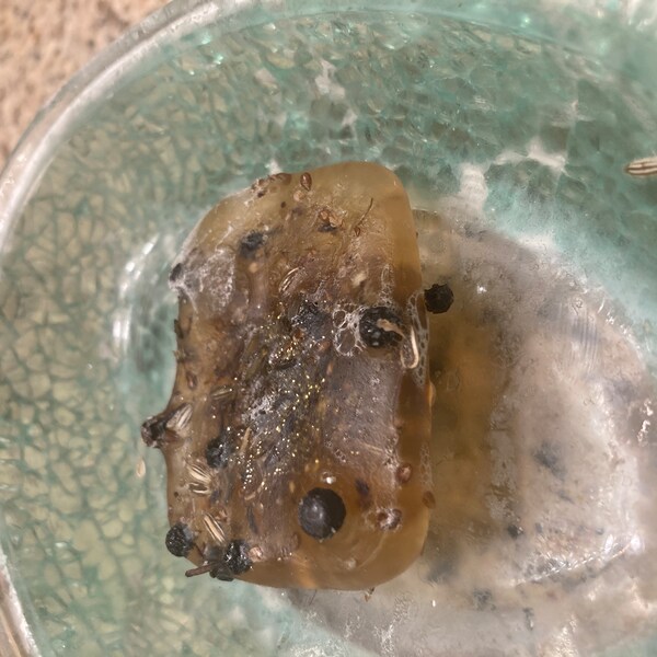 Glamour Magic: Venus in Libra Planetary Magic Ritual Oil - Etsy