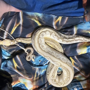 Customizable Ball Python Miniature / Figure / Sculpture / Necklace ...