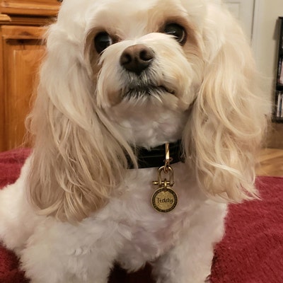 Brass Dog Tag, Personalized Brass Pet ID Tag, Custom Cat Tag, Unique ...