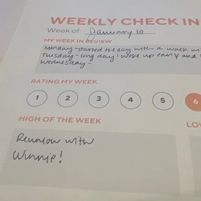 Post Therapy Notes Therapy Debrief Notes Therapy Notes Tool - Etsy