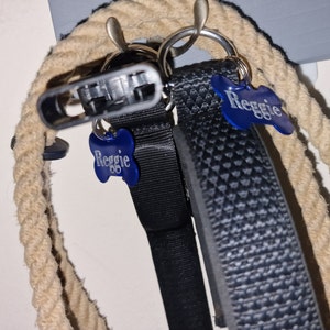 Quality Engraved Dog Tag, Pet ID Tags, Free Personalised Engraving ...