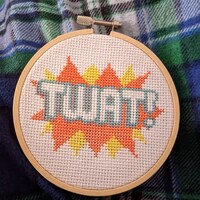 Holy Bum Flaps Cross Stitch Kit - Etsy UK