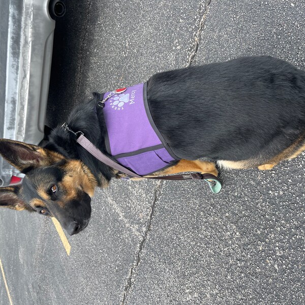 Emotional Support Cat Vest - Etsy