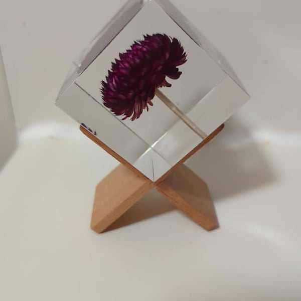 Red Rose Flower Epoxy Resin Cube - Roses Meaningful Girlfriend Home ...