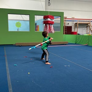 20” Tall Lizards Themed Number Nine Pinata Green Color 9th Birthday ...