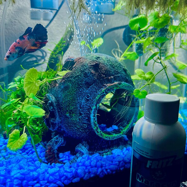 DIY Self Cleaning Conversion Kit for Anchor Hocking, 2 Gallon Fishbowl ...