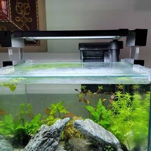 Nicrew Classic, Gen 2, G2, & Plus LED Light Riser, Attractive Stable ...
