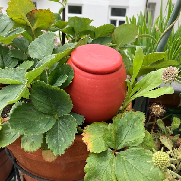 Watering Bell, Self Watering Pot, Self Watering Can, Gardening, Plant ...
