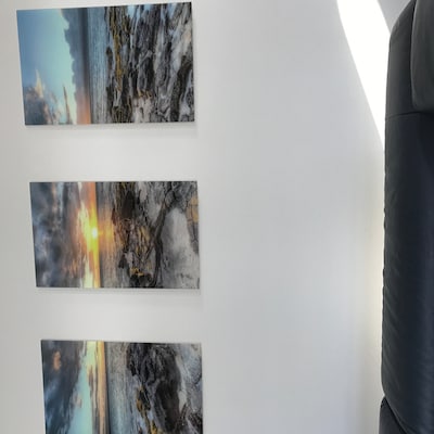 Red Feather Print on Canvas Floating Frame Option Modern - Etsy