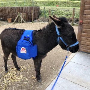 Miniature Horse and Donkey Backpacks Custom Patches and Accessories - Etsy