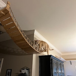 Cat Bridge Wall Mounted Cat Furniture Cat Sleep Cat Bed Cat Shelves Cat ...