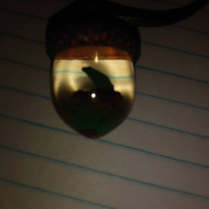 Acorn Necklace With Mushroom Frog Resin Jewelry Acorn - Etsy