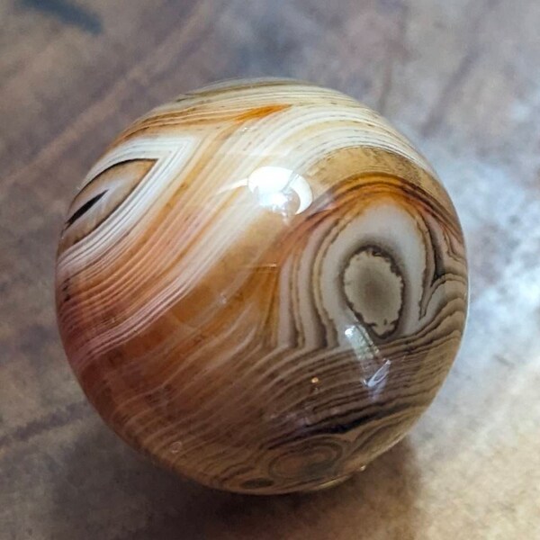 Color Morphing Mug, Whimsical Cat Design, Fun Gift for Cat Lovers, Cozy ...