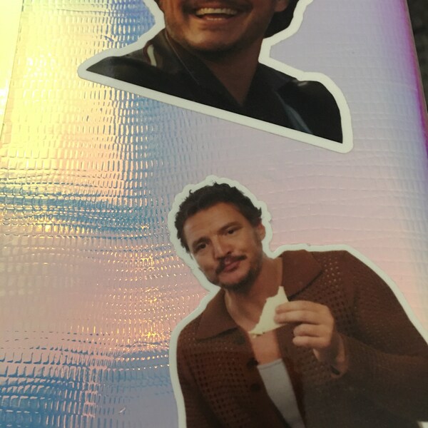 Pedro Pascal Sticker Bundle | Pedro Meme Sticker | Stickers for Water ...