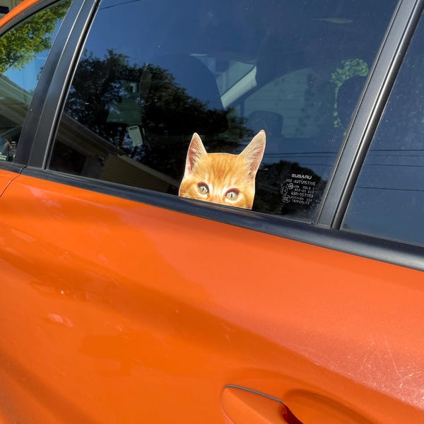 Orange Tabby Cat Eyes 2 Car Decal multiple Sizes-tabby Cat, Cat Sticker ...