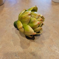 Loquat Fruit Stem With Foliage Artificial, Faux Berry Branch, Quality ...