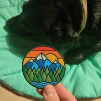 Spicy Pepper Patch Pepper Embroidered Iron-on Patch Trendy, Weird, Fun ...