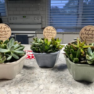 Thank You for Helping Me Grow Succulent Stakes Teacher Gift Plant ...
