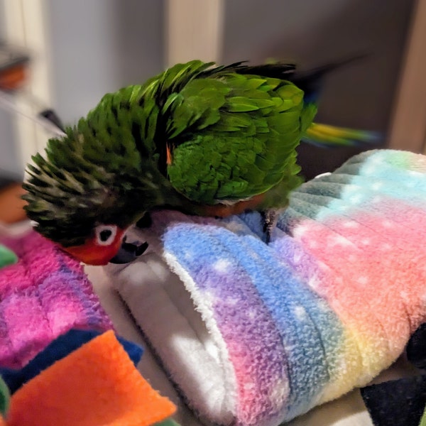 Bird Teepee, Bird Tent, Bird Bed for Conures, Caiques, Senegals ...