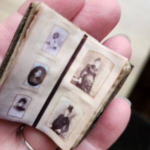 DIY Miniature Cabinet of Curiosities KIT Oddities Museum Collection ...