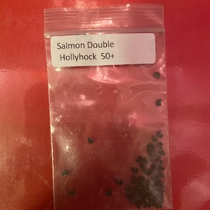 50 Ruby Silk Eragrostis / Love Grass / Ornamential / Thrives - Etsy