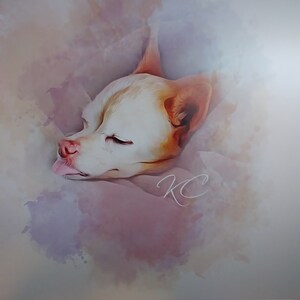 Custom Cockatiel Bird Portrait Royal Pet Portraitcustom | Etsy