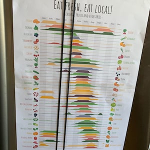 The Vegan Plate Method Easy Meal Planning Nutrition Infographic Poster ...