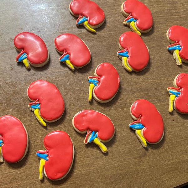 Anatomical Cookie Cutter Set of 5| Kidney Heart Lungs Brain Intestines ...