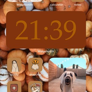 10000 Ios 17 Neutral App Icons Boho Fall Aesthetic Widget - Etsy UK