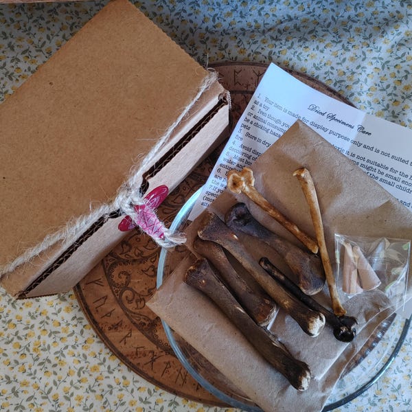 Aged Bone Set for Divination - Throwing Bones Set - Bones for Craft ...