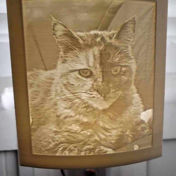 3D Printed Pet Photo LED Night Light, Personalized Pet Sympathy Gift ...