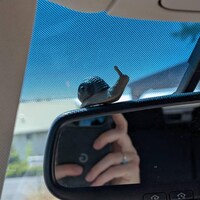 Cartoon Cat Car Review Mirror Decor, Cute Cat Figurine, Kawaii Car ...