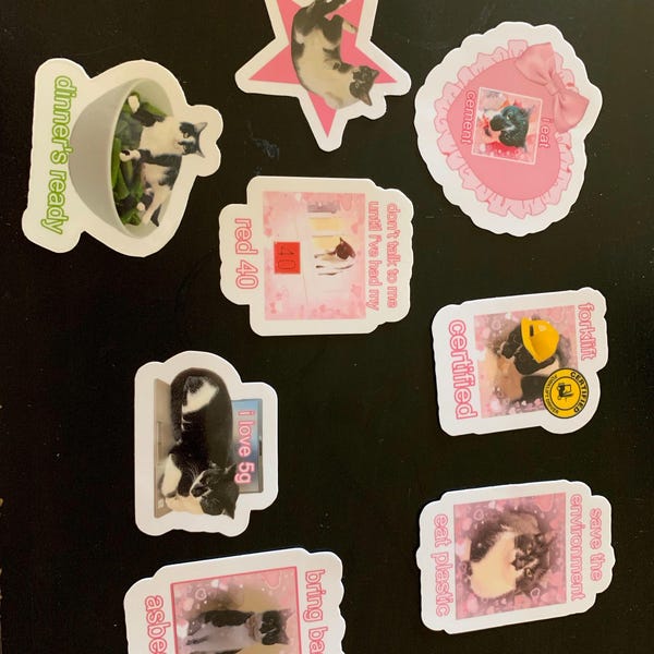 Forklift Certified Cute Cat Unisex Pullover Hoodie - Etsy