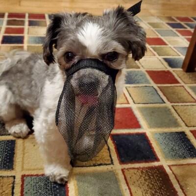 Smuzzle: A Soft Muzzle That Lets Your Dog Smile - Etsy