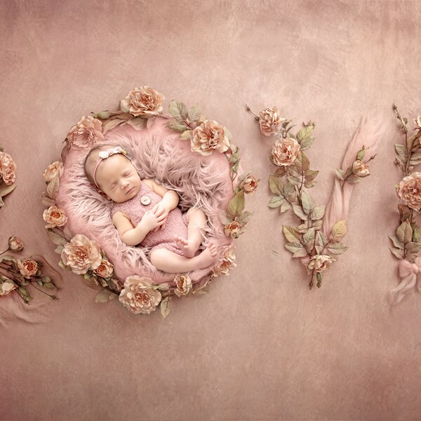 Digital Backdrop, Background Newborn Baby Girl Peach Flowers Pink ...