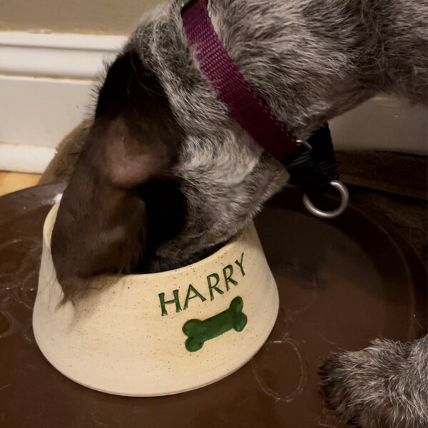 XL Tall Custom Dog Bowl L Long Eared Dogs L Personalized Spaniel Bowl L ...