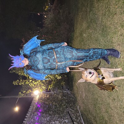 Snake Costume Women, Snake Skin Costumes, Animal Printed Costume Women ...